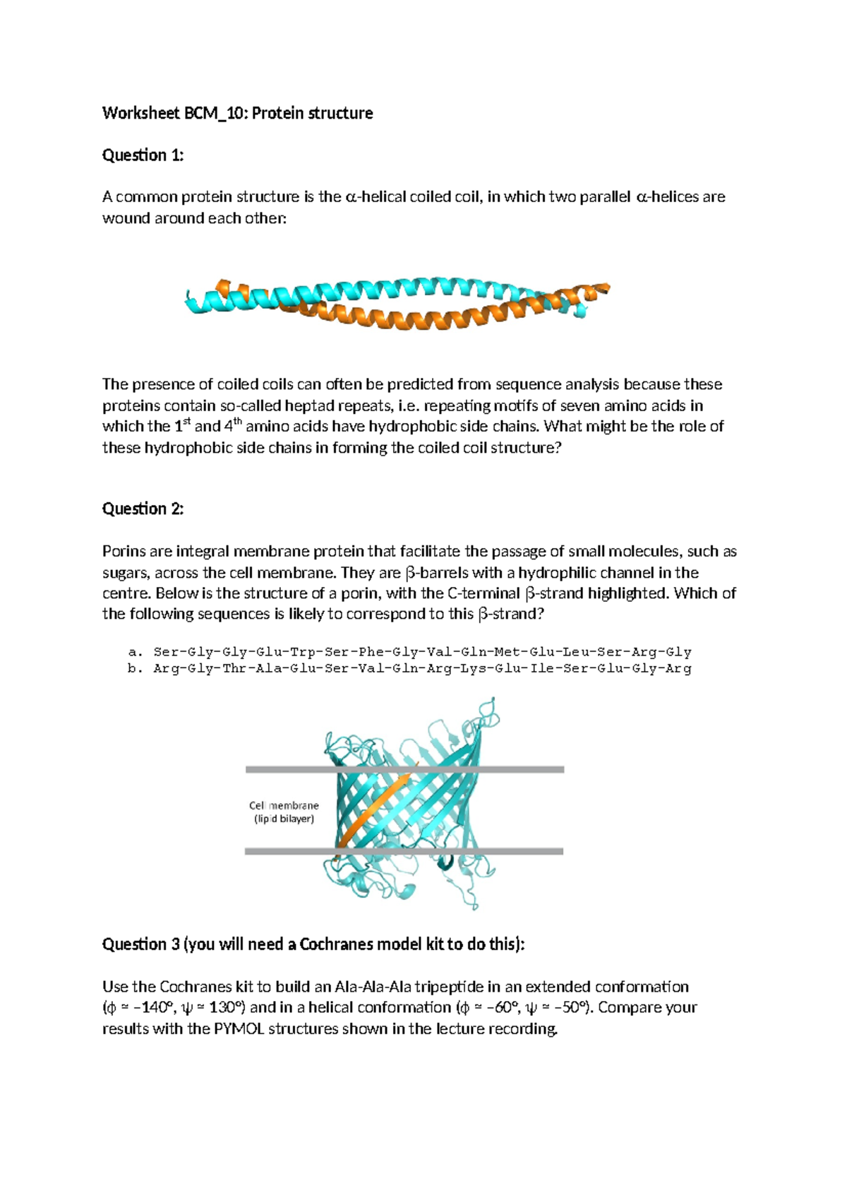 BCM 10 Worksheet: Understanding Protein Structure & Coiled Coils - Studocu