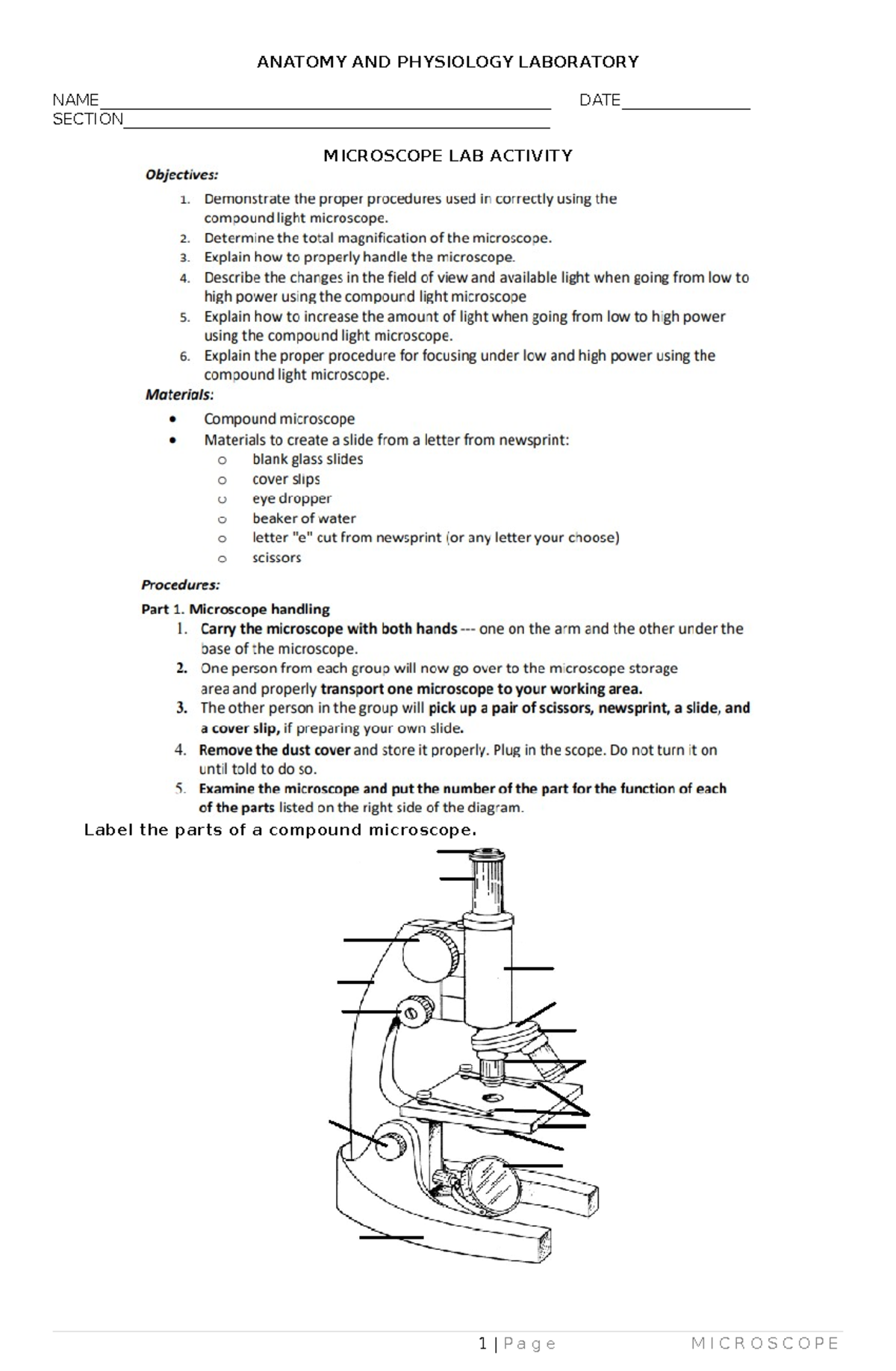 Microscope-activity - Microscope - Health science - ANATOMY AND ...