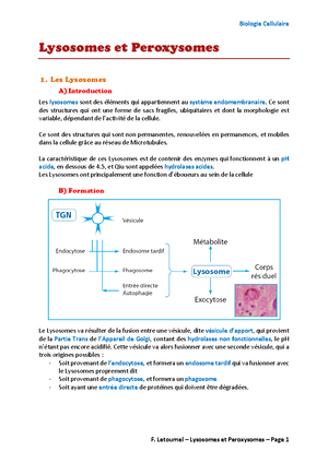 UE2 - Biologie cellulaire - 9 - Le noyau - Le noyau I – Généralités et ...