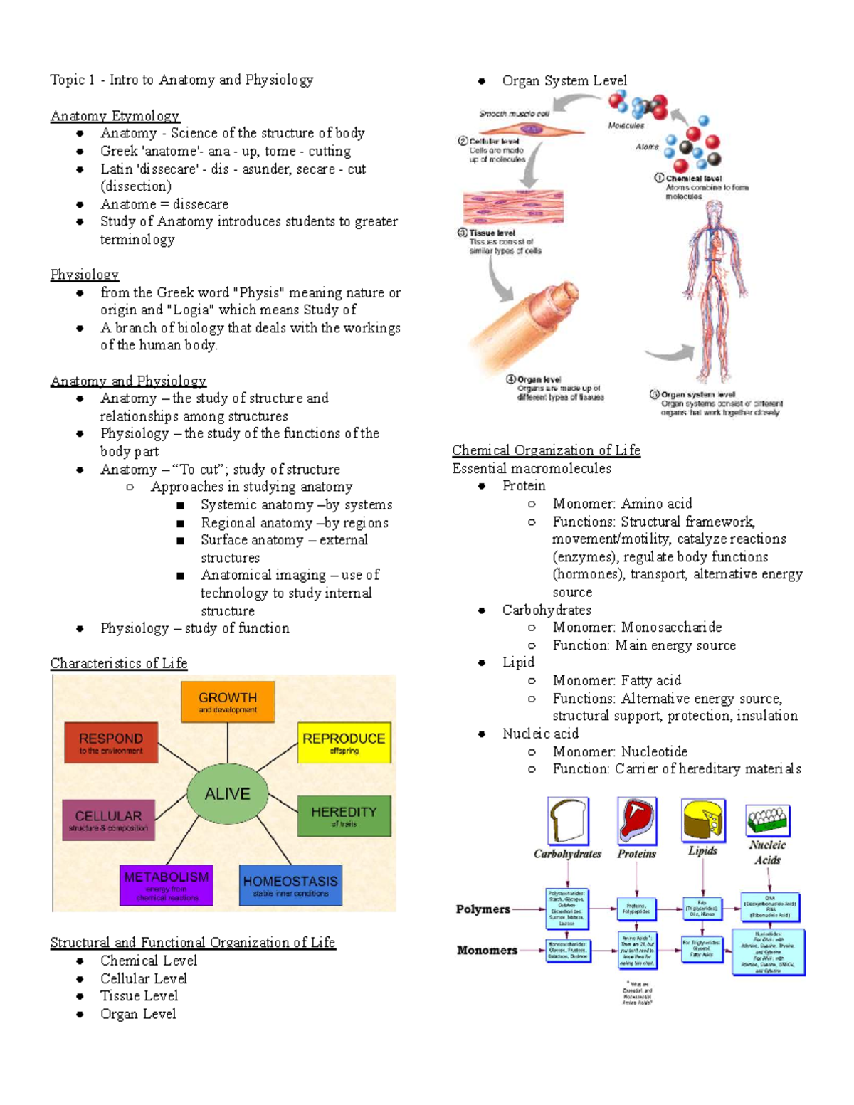 Topic 1 - Intro to Anatomy & Physiology (ANAT 101) - Studocu