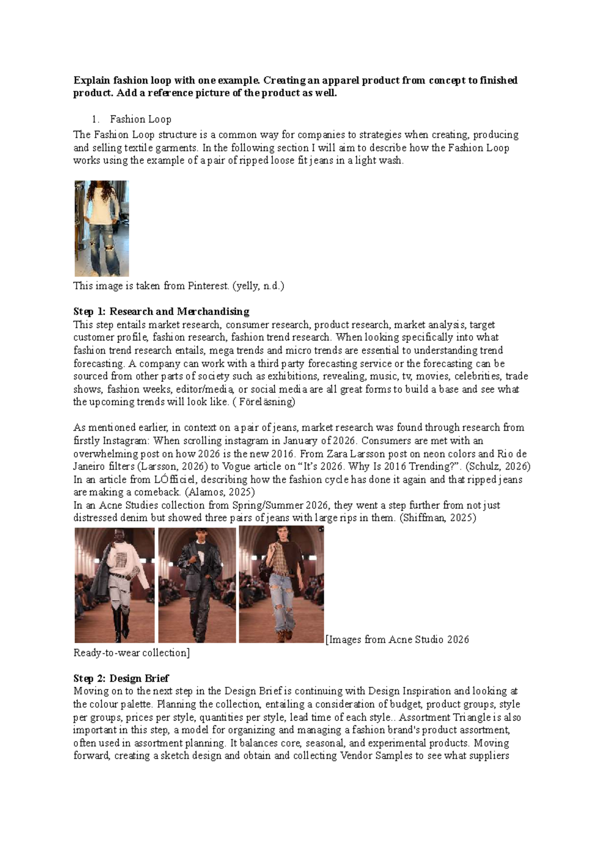 Fashion Loop Analysis: From Concept to Ripped Jeans Production (IND 101 ...