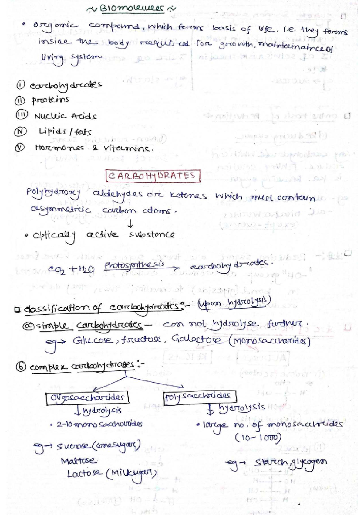 Biomolecules: Structure, Classification, and Functions in Life - Studocu