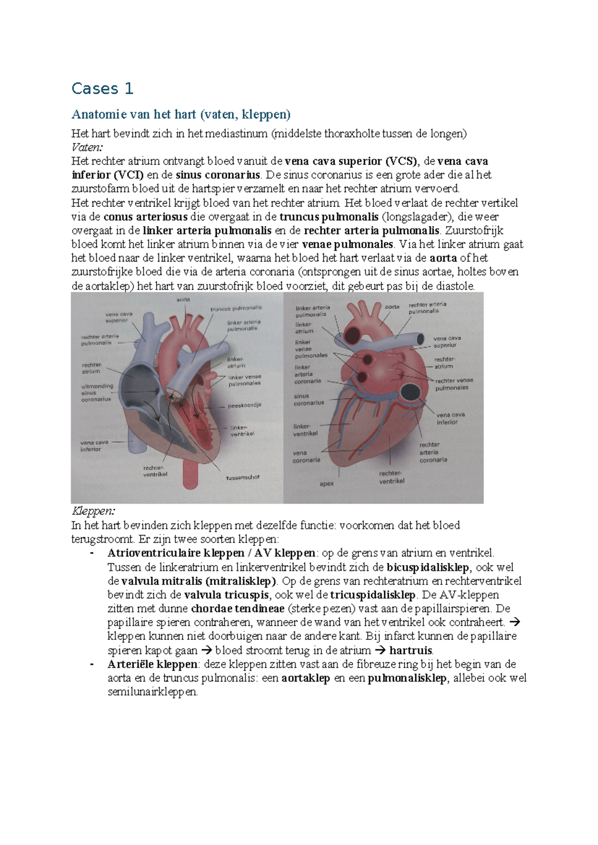 Cases 1: Anatomie van het Hart en Kransslagaders - Studeersnel
