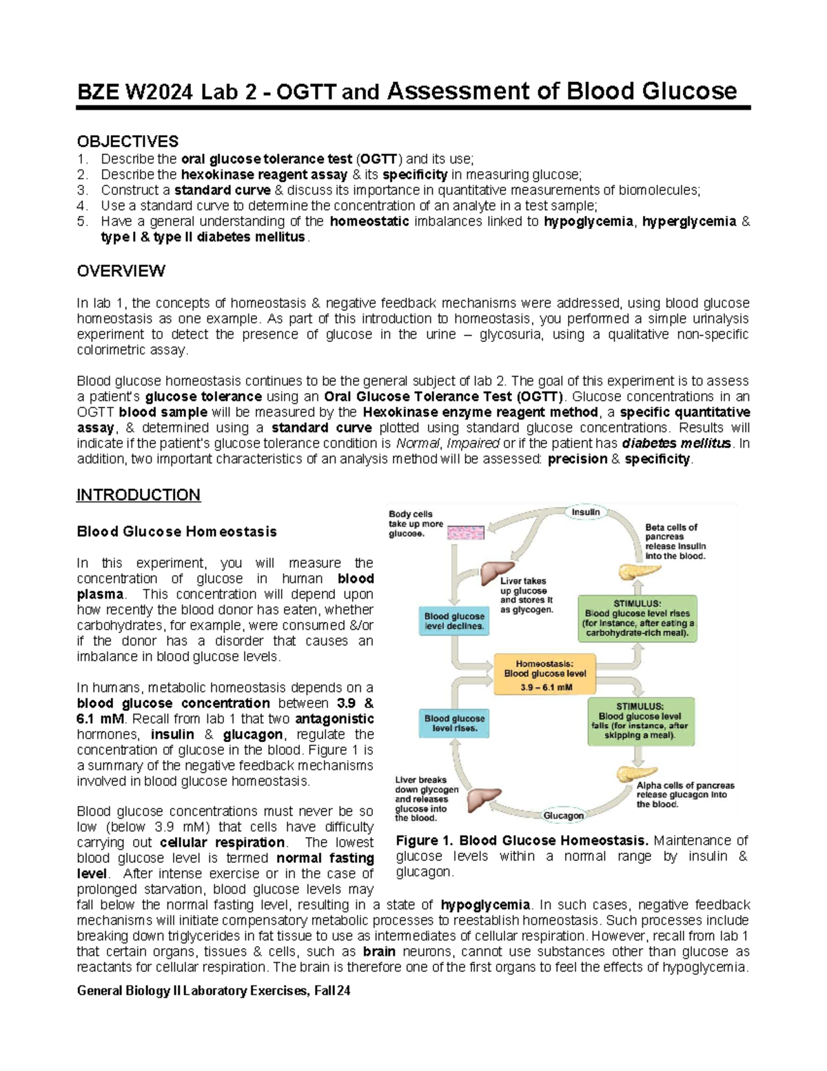 BZE F2024 Lab 2: Blood Glucose Measurement and OGTT Analysis - Studocu