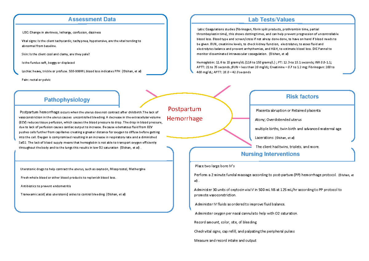 PPH Concept Map: Key Assessments & Interventions Postpartum Care - Studocu