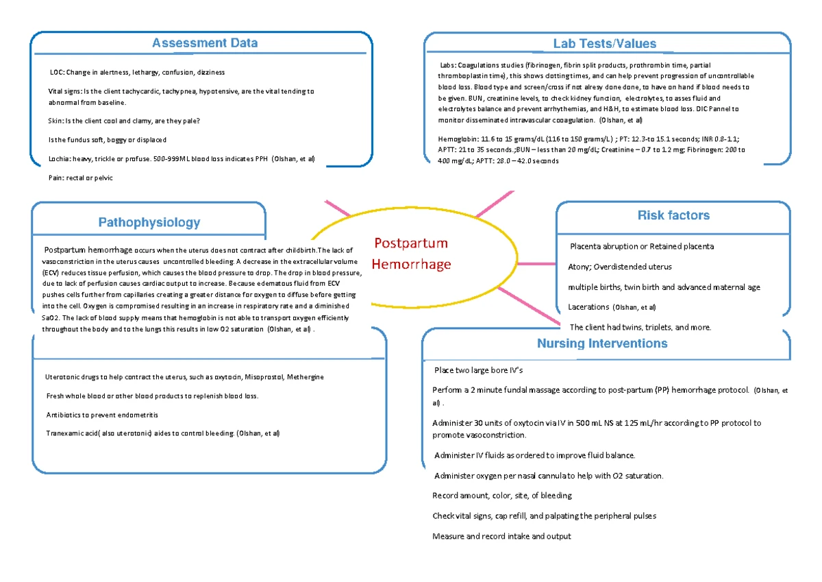 VTE Prevention: Key Facts and Guidelines for Patient Care - Studocu