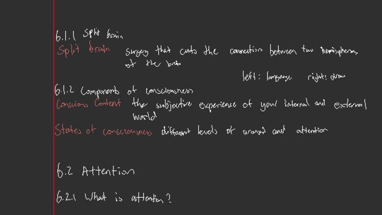 PSY 1101 Chapter 6: Brain Functions and Attention Mechanisms - Studocu