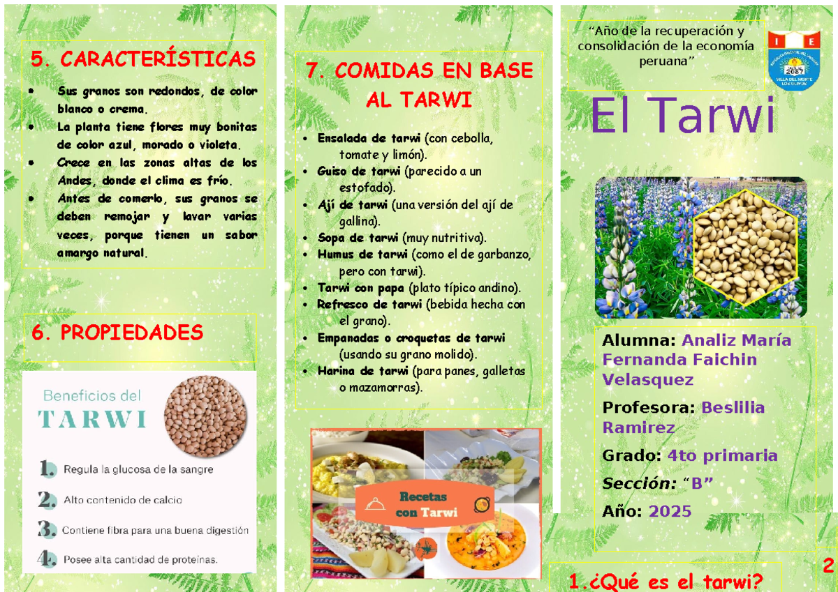El Tarwi: Características y Comidas Típicas - 4to Primaria - Studocu