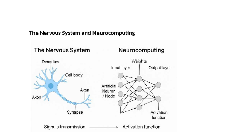 NIC Unit 2: The Nervous System and Neurocomputing Overview - Studocu