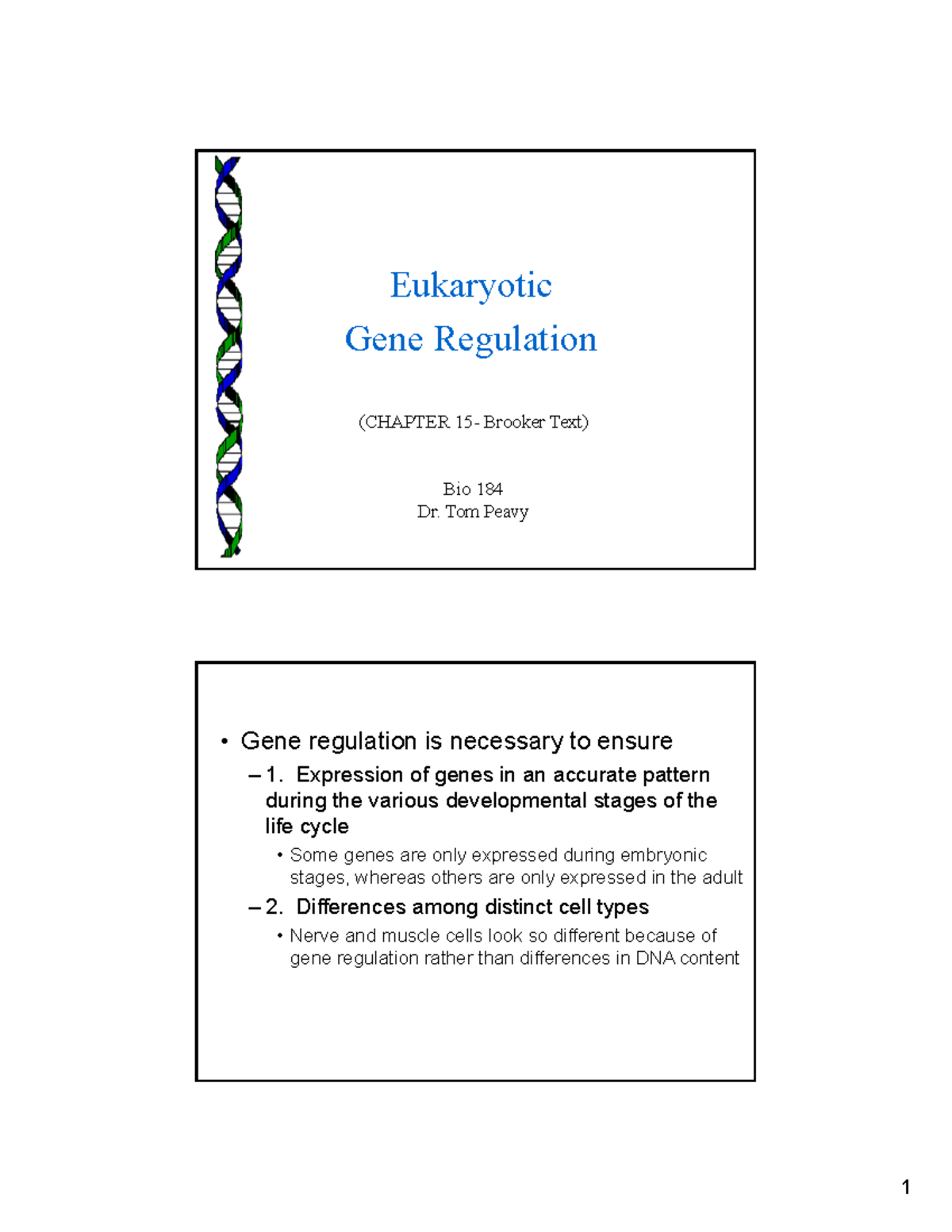 Eukaryotic Gene Regulation (BIO 184) - Overview of Mechanisms and ...