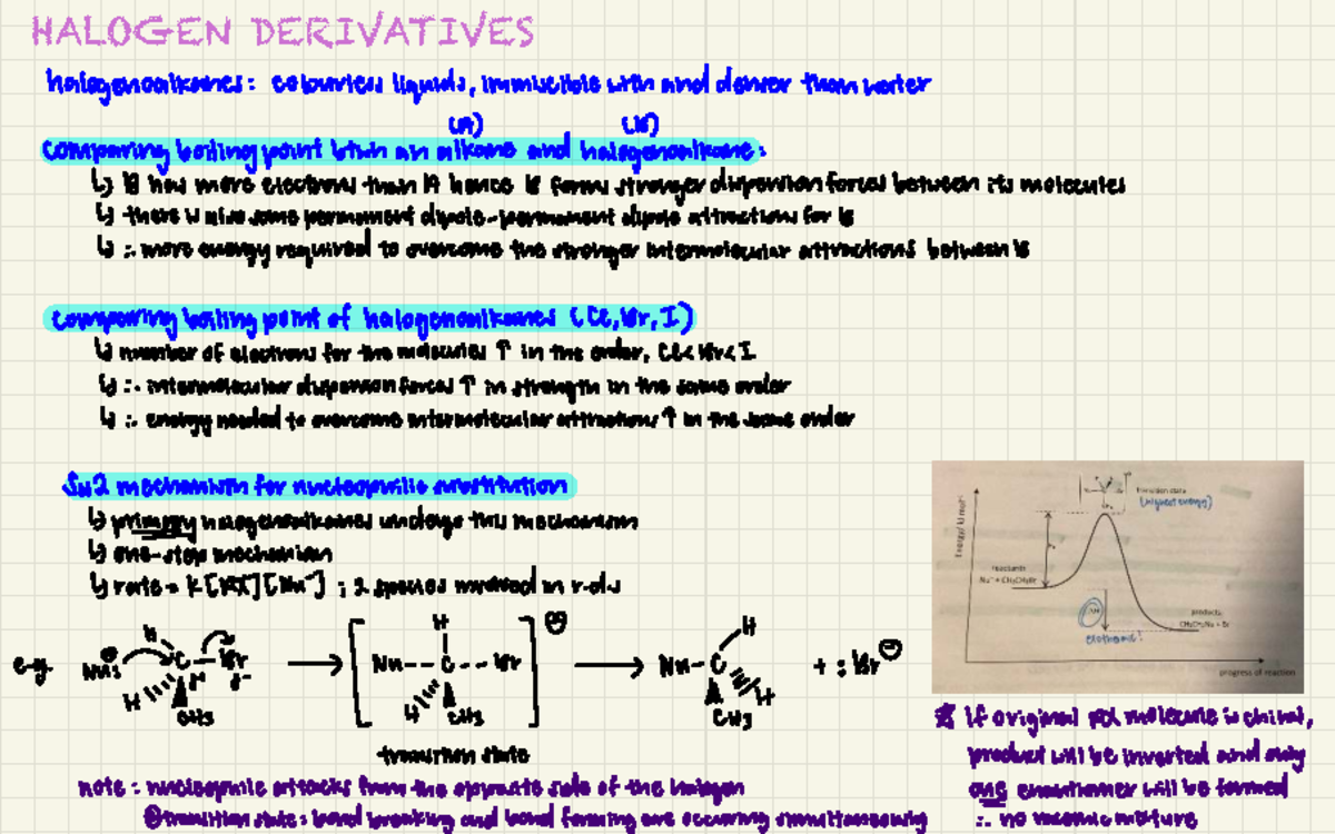 Halogen Derivatives: Properties, Mechanisms, and Environmental Impact ...