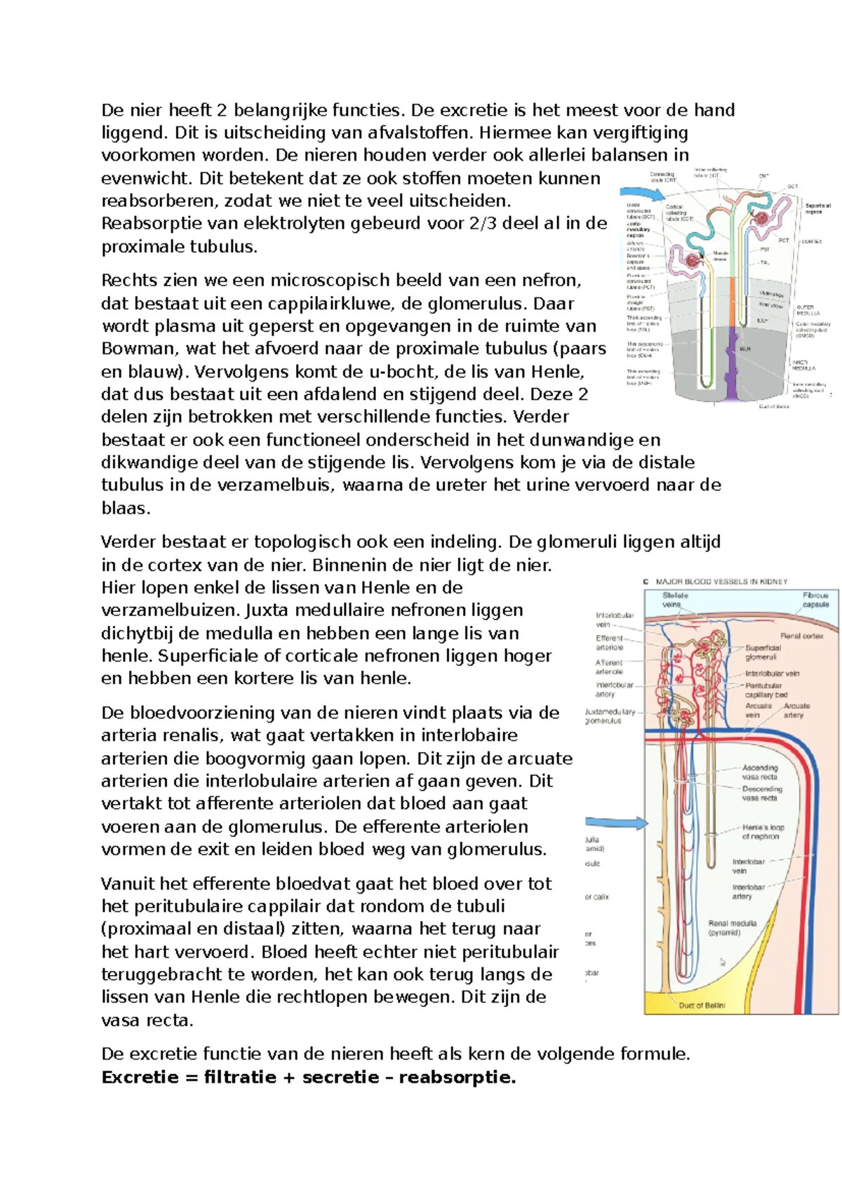 HC 1: Functies, Filtratie en Reabsorptie van de Nieren in Detail ...