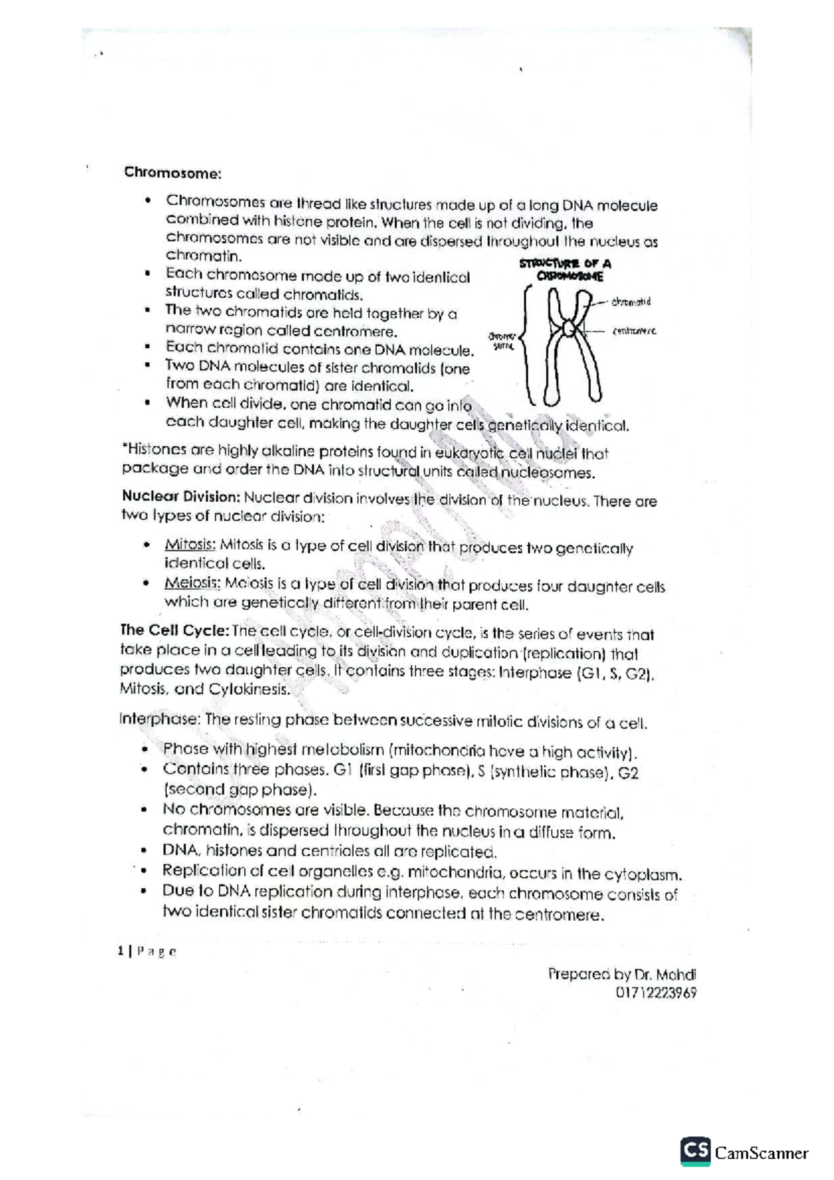 Cell Cycle and Chromosome Structure: A Comprehensive Overview (BIO101 ...