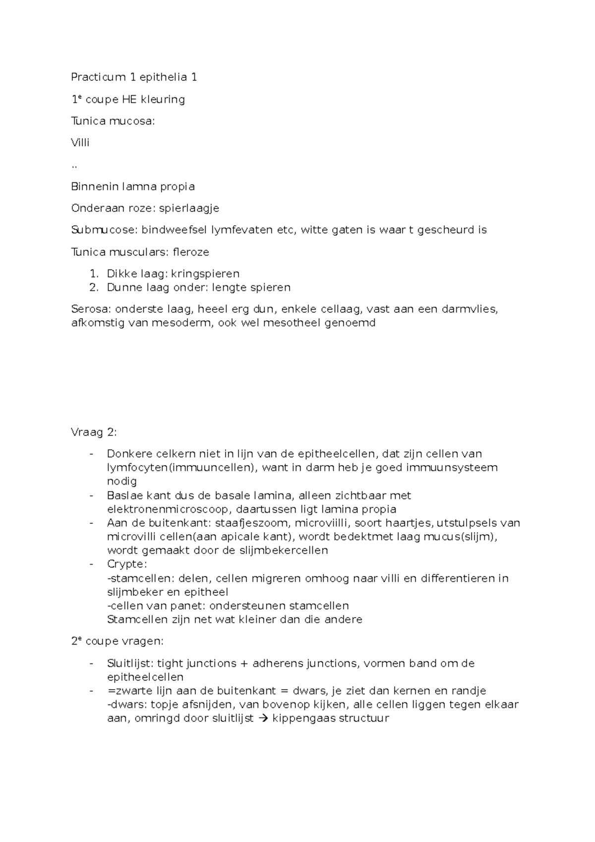 Practicum I: Epithelial Structure & Function - 1st Observation Notes ...