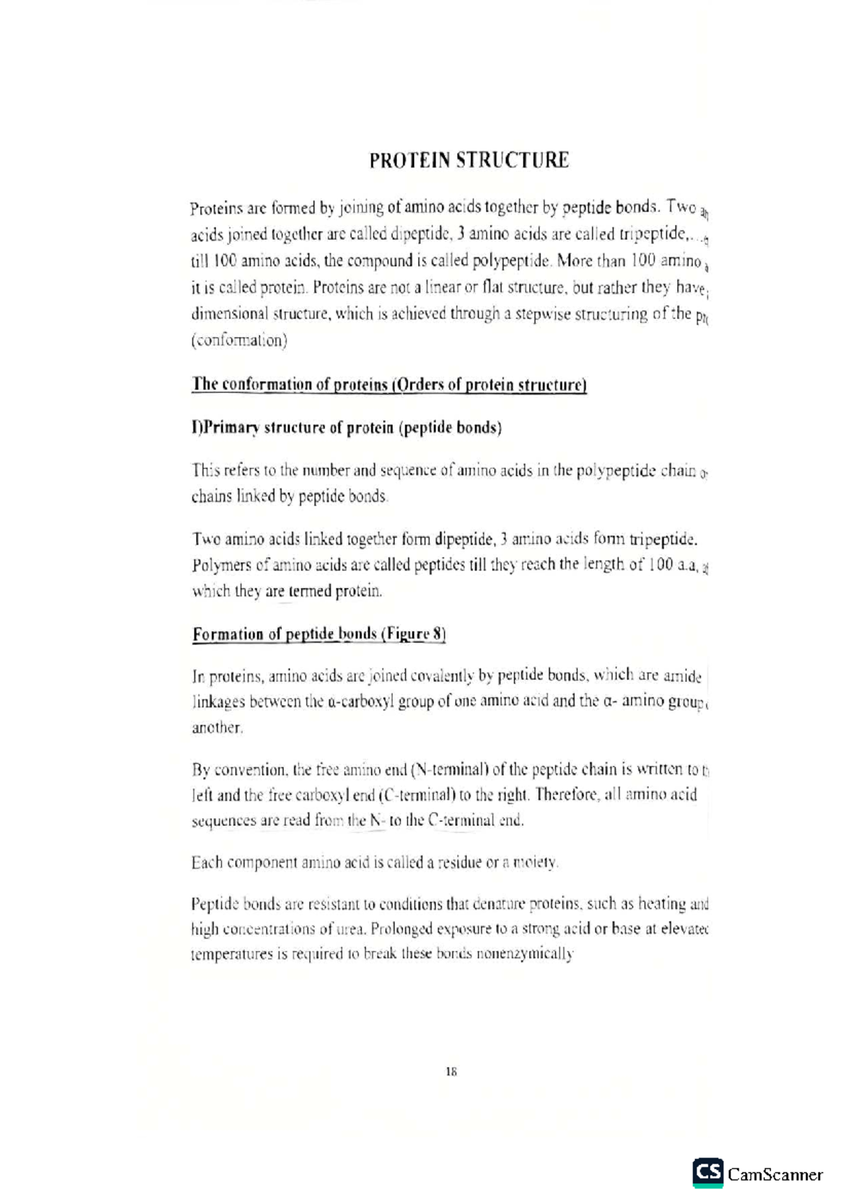 Protein Structure Overview - CS 101 - Studocu