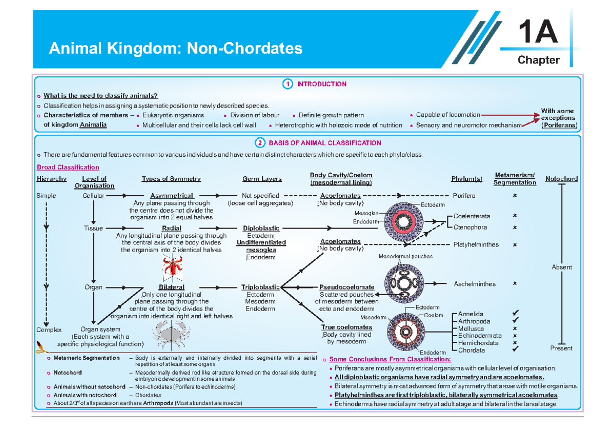 Zoology Maps - Zoolgy - Chapter 1A Animal Kingdom: Non-Chordates 2 ...