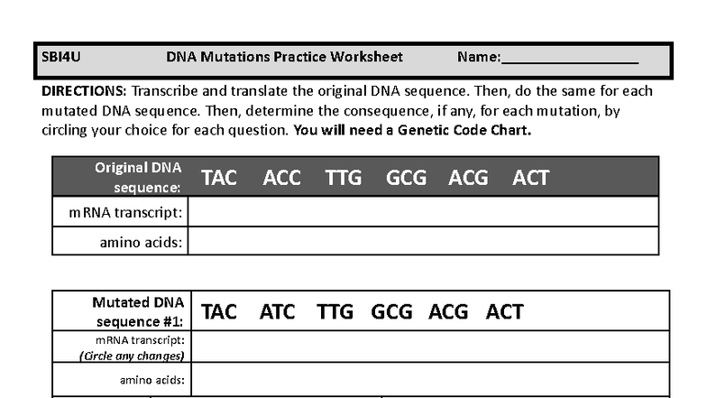 SBI4U DNA Mutations Practice Worksheet and Analysis - Studocu
