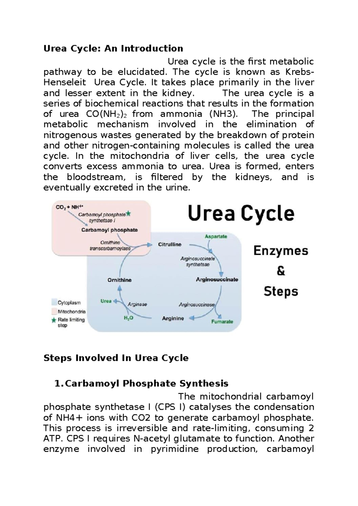 Urea cycle and its disorder - Urea Cycle: An Introduction Urea cycle is ...