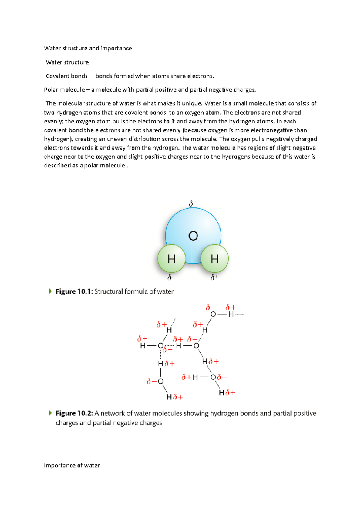 Biological Molecules Notes: Water's Structure & Importance (Unit 10 ...