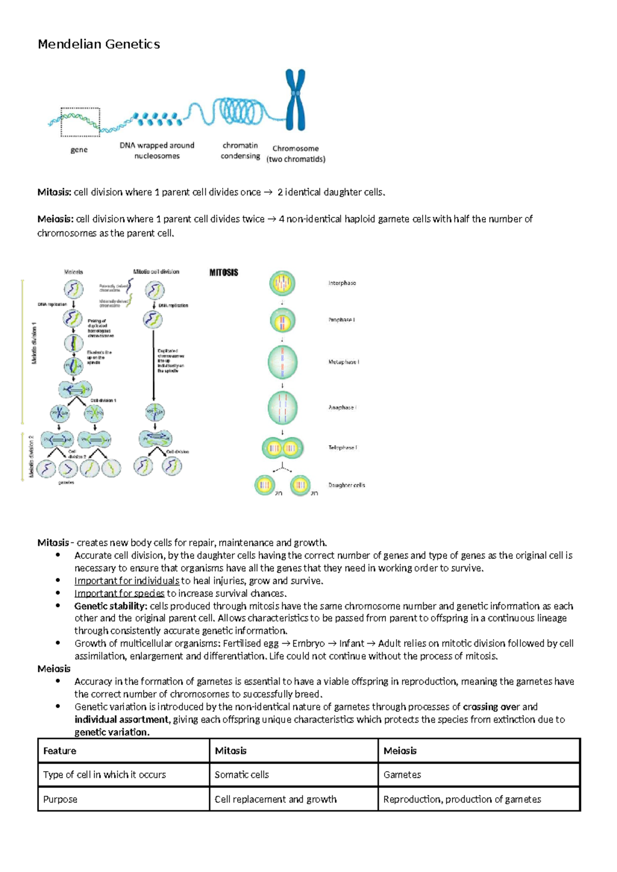 Mendelian Genetics W6 L1: Mitosis vs. Meiosis Explained - Studocu