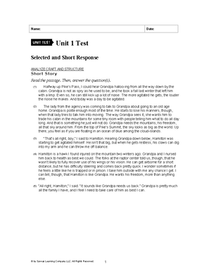 Lit17 EV G06 U1 BSG ST MYER TEST - Name: Date: from Bad Boy Walter Dean ...