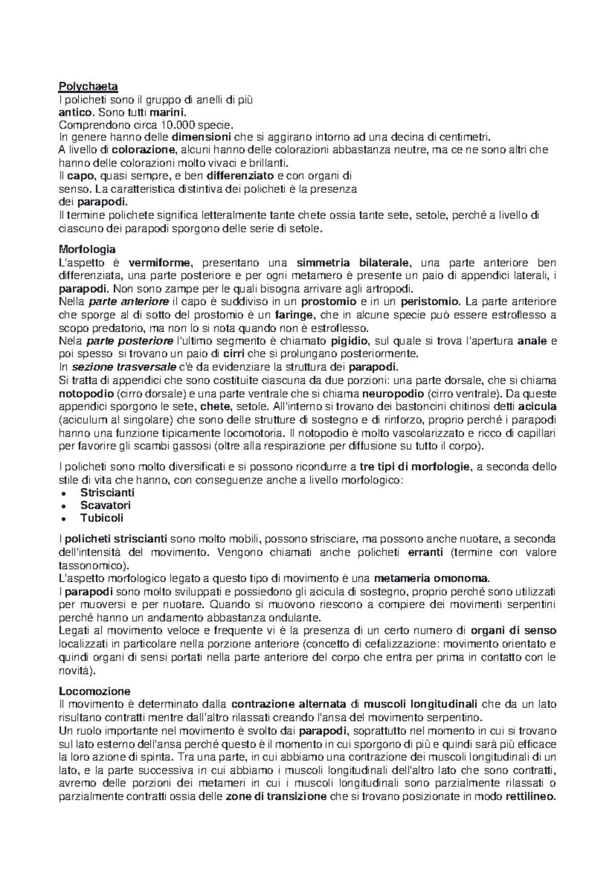 Policheti: Morfologia, Apparati e Riproduzione (BIOL 101) - Studocu
