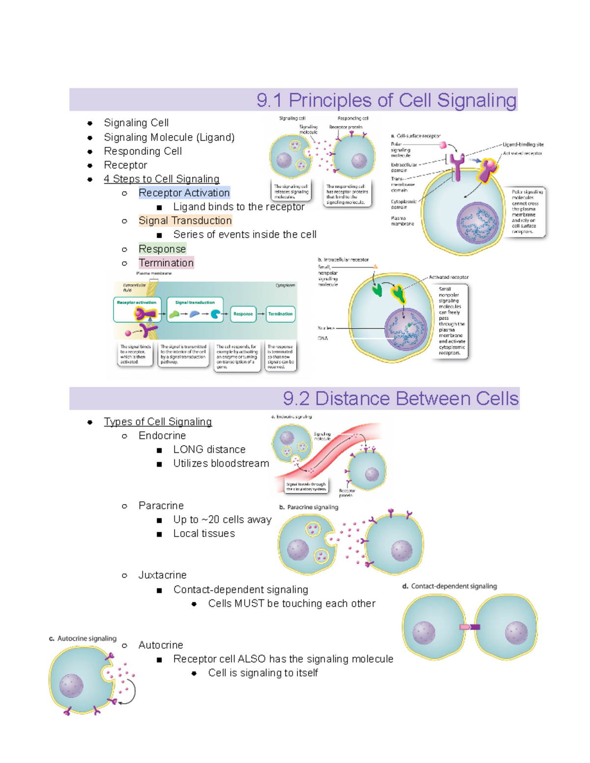Copy of Chapter 9 cell signaling - 9 Principles of Cell Signaling ...