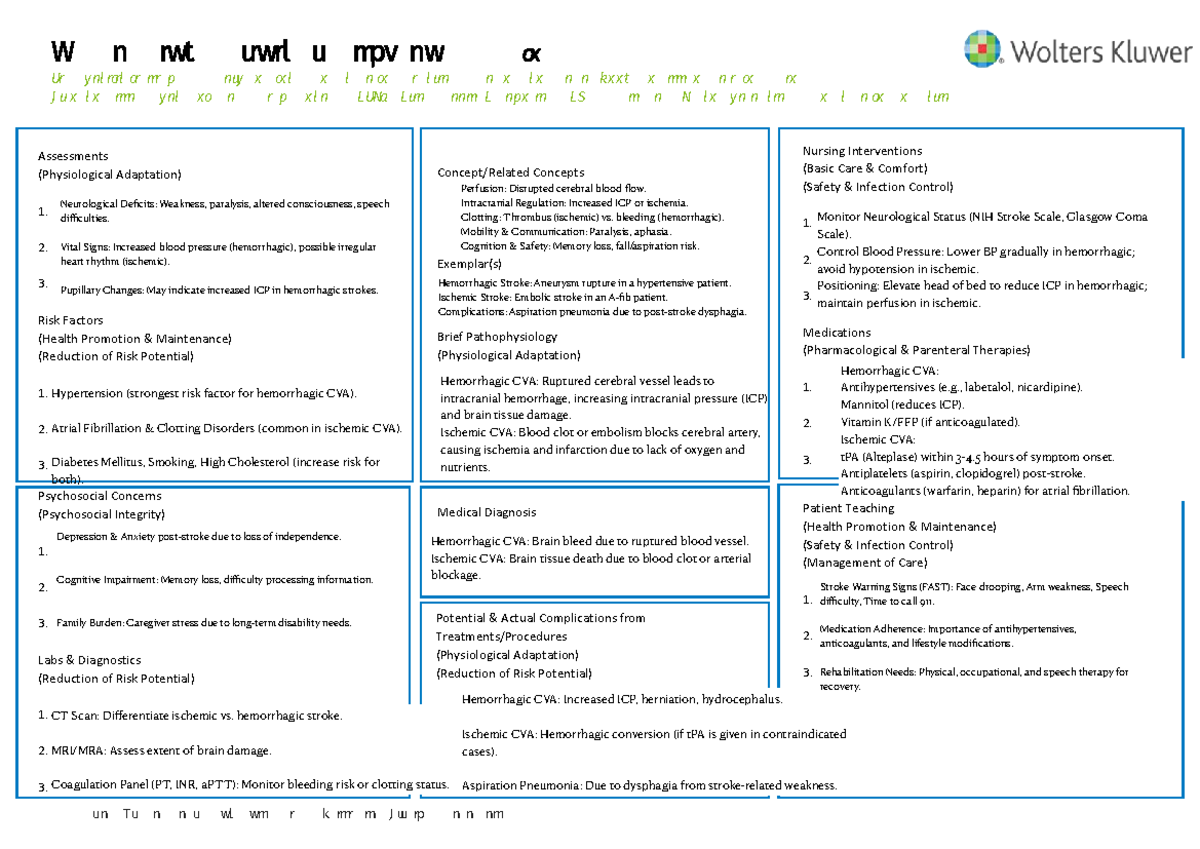 Nurse Think® RN Clinical Judgment Map: Focused Care for CVA Management ...