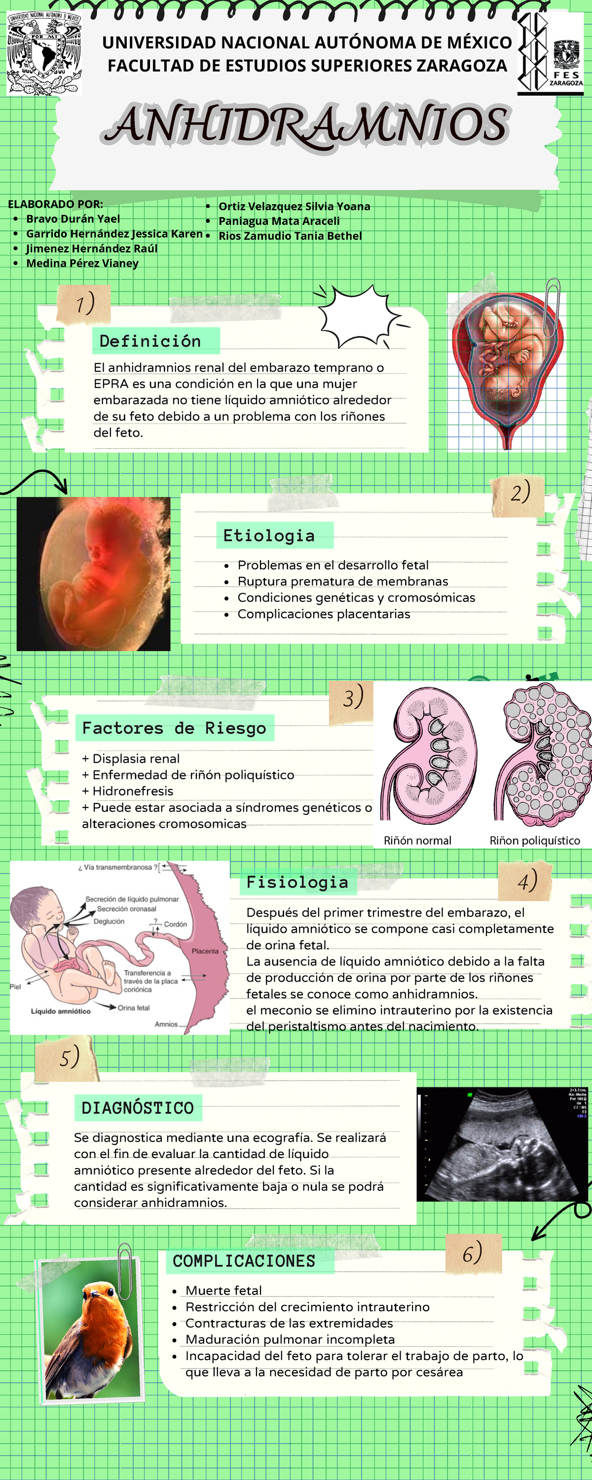 Anhidramnios: Definición, Diagnóstico y Complicaciones en Embarazo ...
