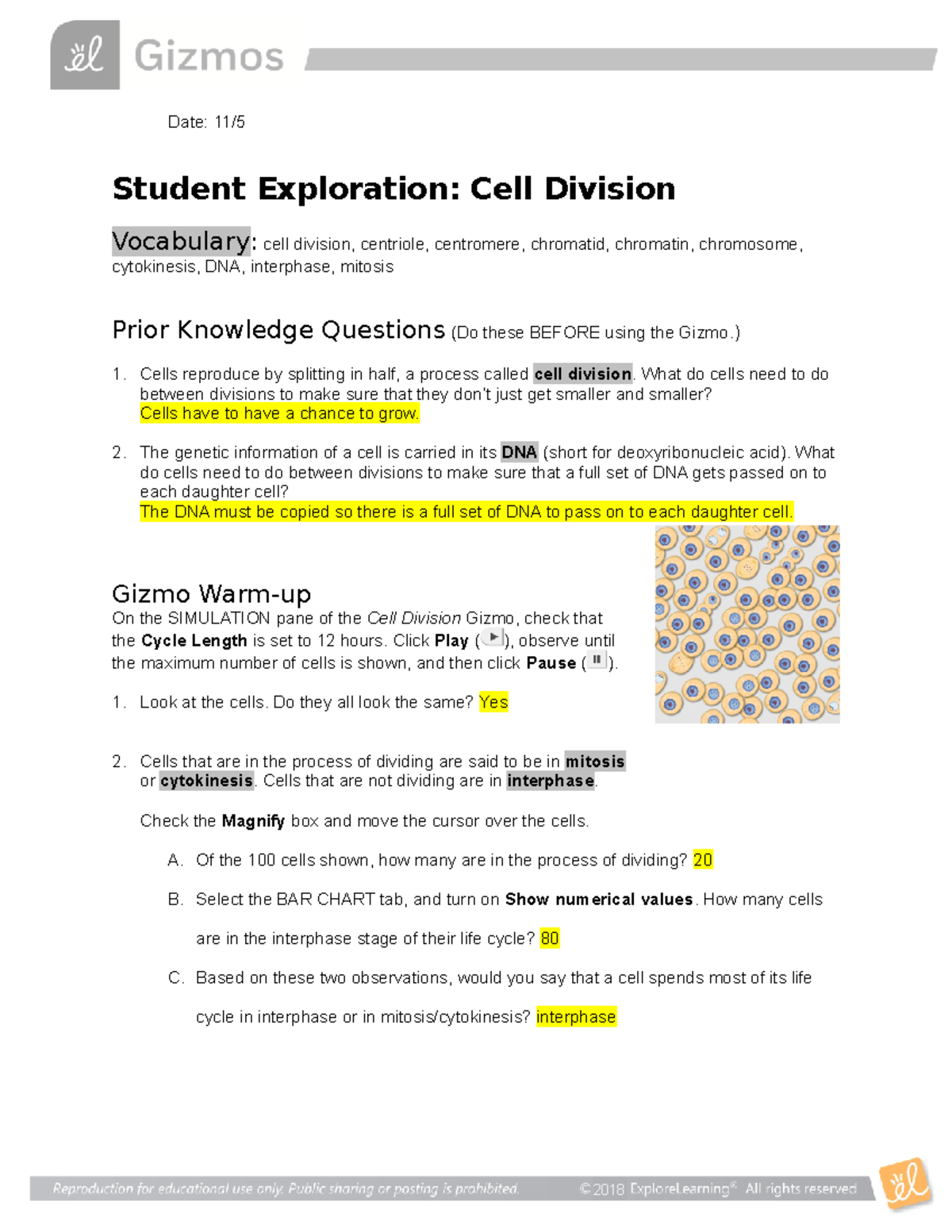 Cell Division SE - Deprecated API usage: The SVG back-end is no longer ...