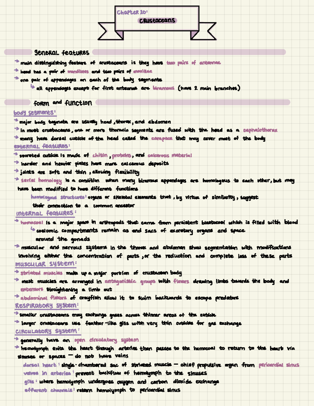 20- Crustaceans - Detailed Lecture Notes on Features and Functions ...