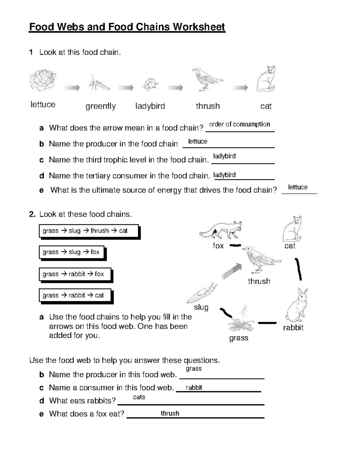Food Webs and Food Chains Worksheet - Study Guide for Biology 101 - Studocu