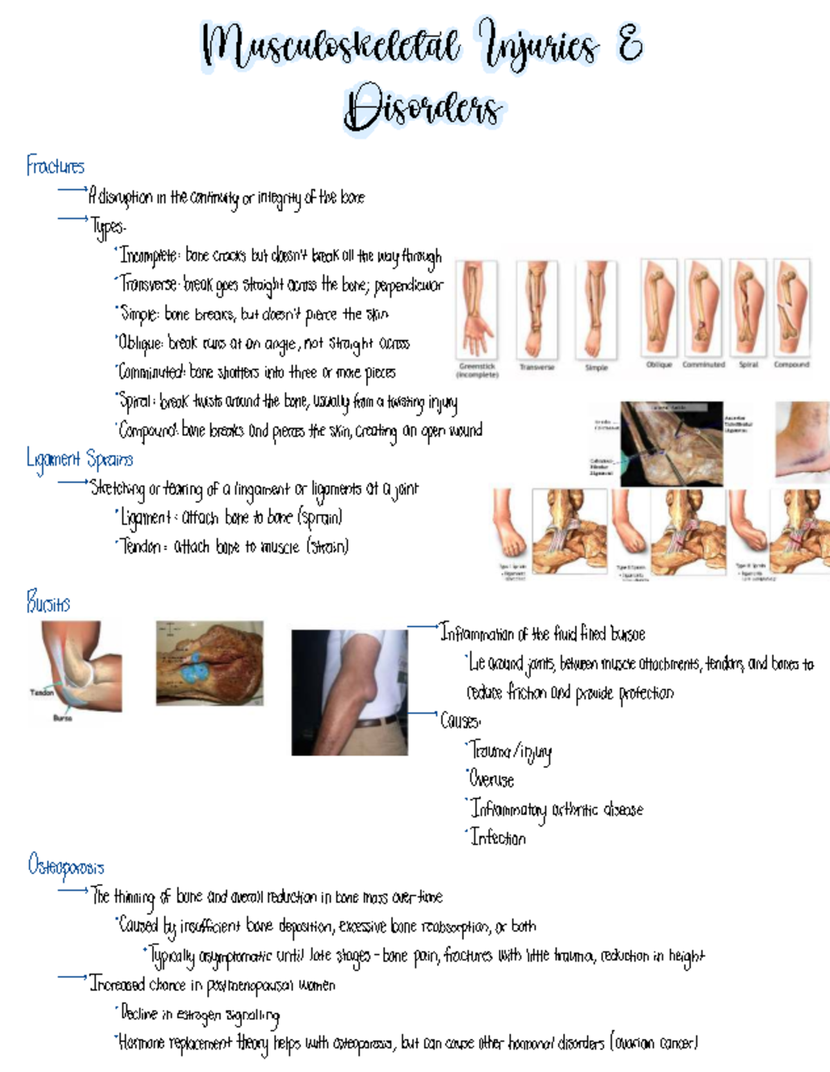 BIOM 3010 Musculoskeletal Disorders: Types, Causes, and Treatments ...