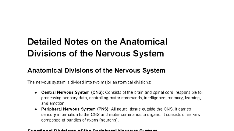 Nervous System Overview: Anatomical & Functional Divisions - Studocu