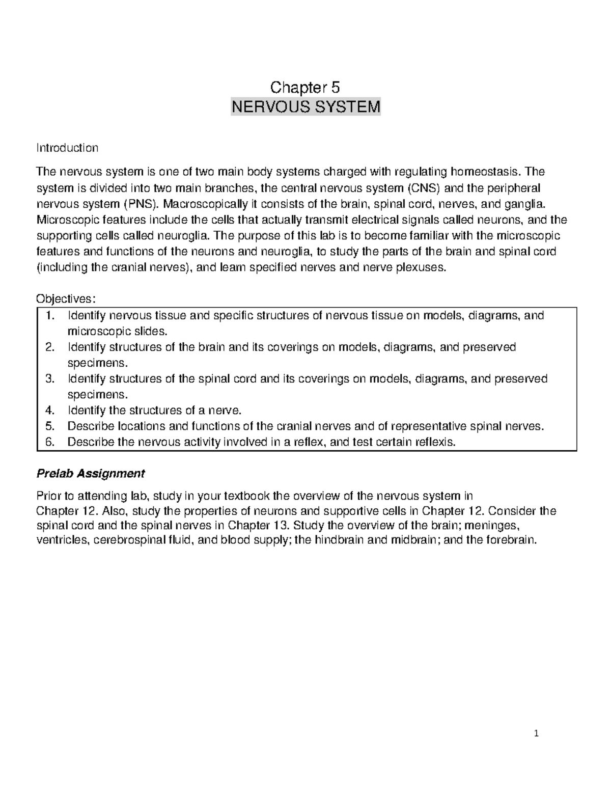 Chapter 5: Detailed Study of the Nervous System - Ch 5 Analysis - Studocu