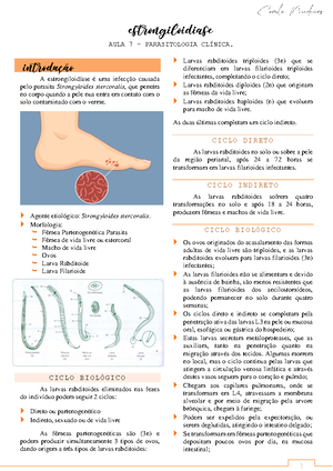 Filariose linfática (morfologia, ciclo biológico, manifestações ...