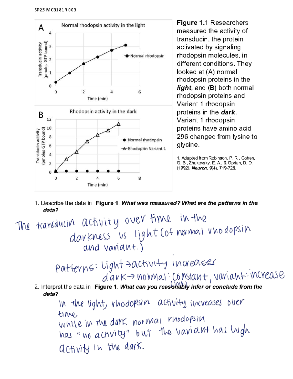 Data Dive 2 Rhodopsin - practice data question - SP25 MCB181R 003 1 ...