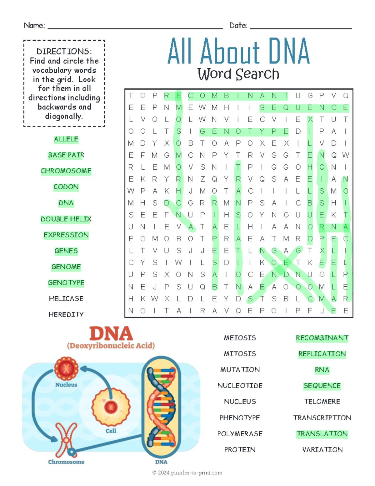 DNA Vocabulary Word Search Activity - Candido Perez - Studocu