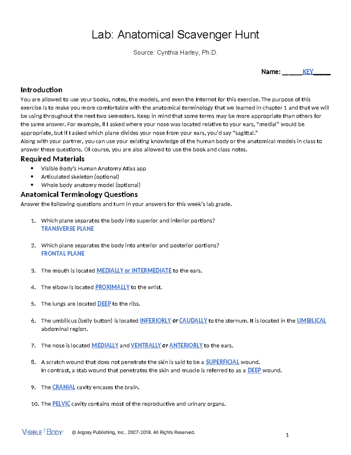 Lab Activity: Anatomical Scavenger Hunt (BIO 101) - Lab: Anatomical ...