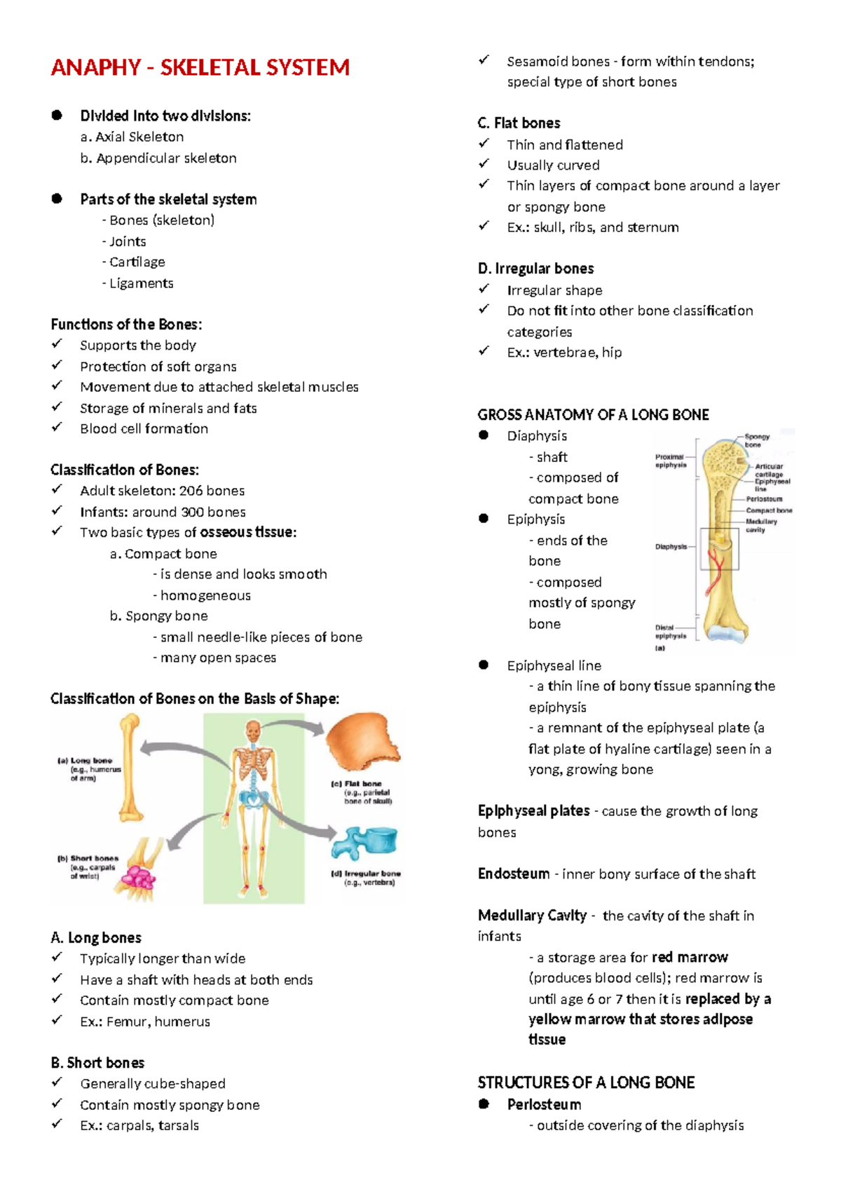 Anaphy - skeletal system - ANAPHY - SKELETAL SYSTEM Divided into two ...