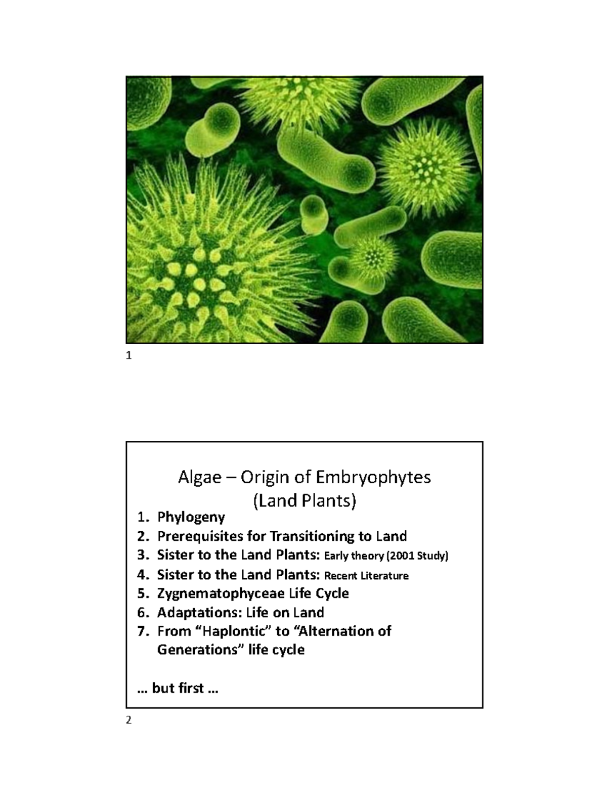 Earth's Evolution: From Algae to Land Plants (BIO101 Finals F2024) - 1 ...