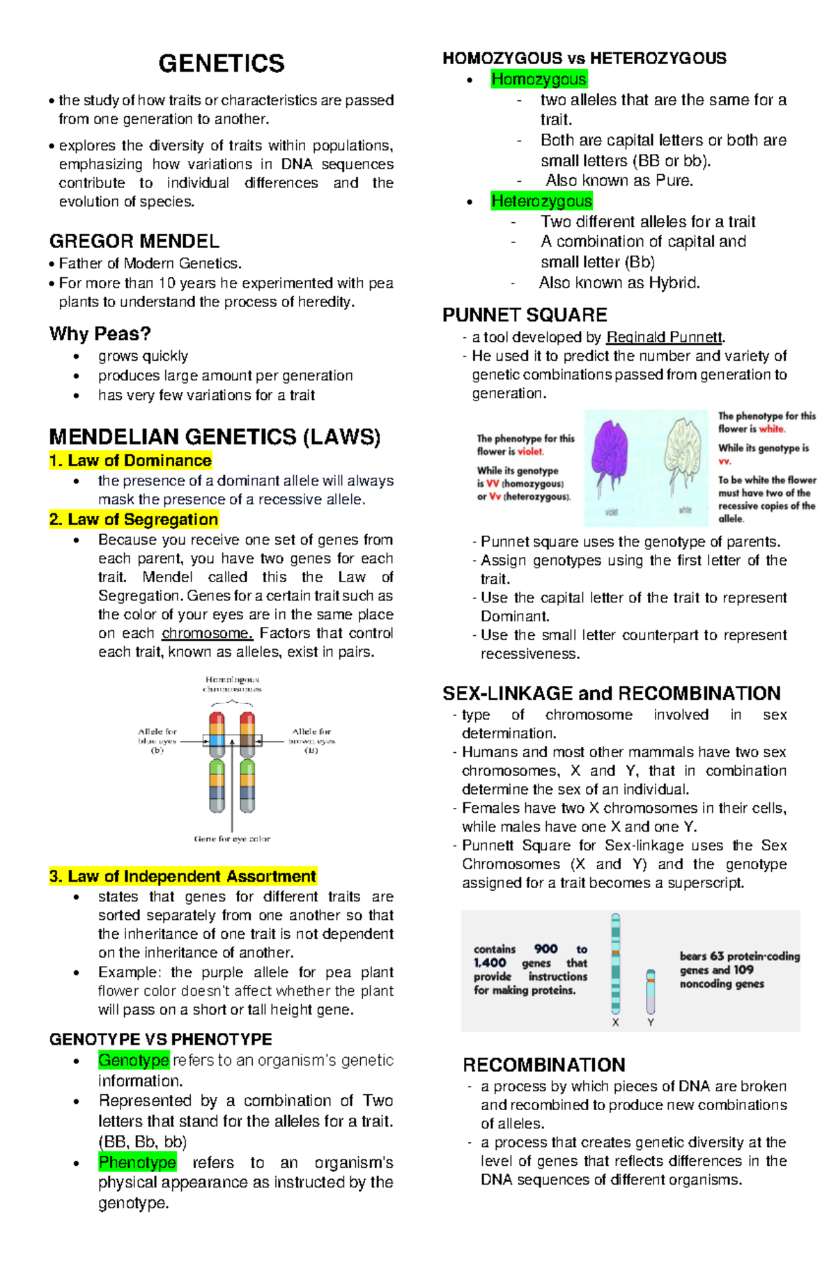 GEN 101: Genetics Overview - Mendelian Principles & Punnett Squares - Studocu