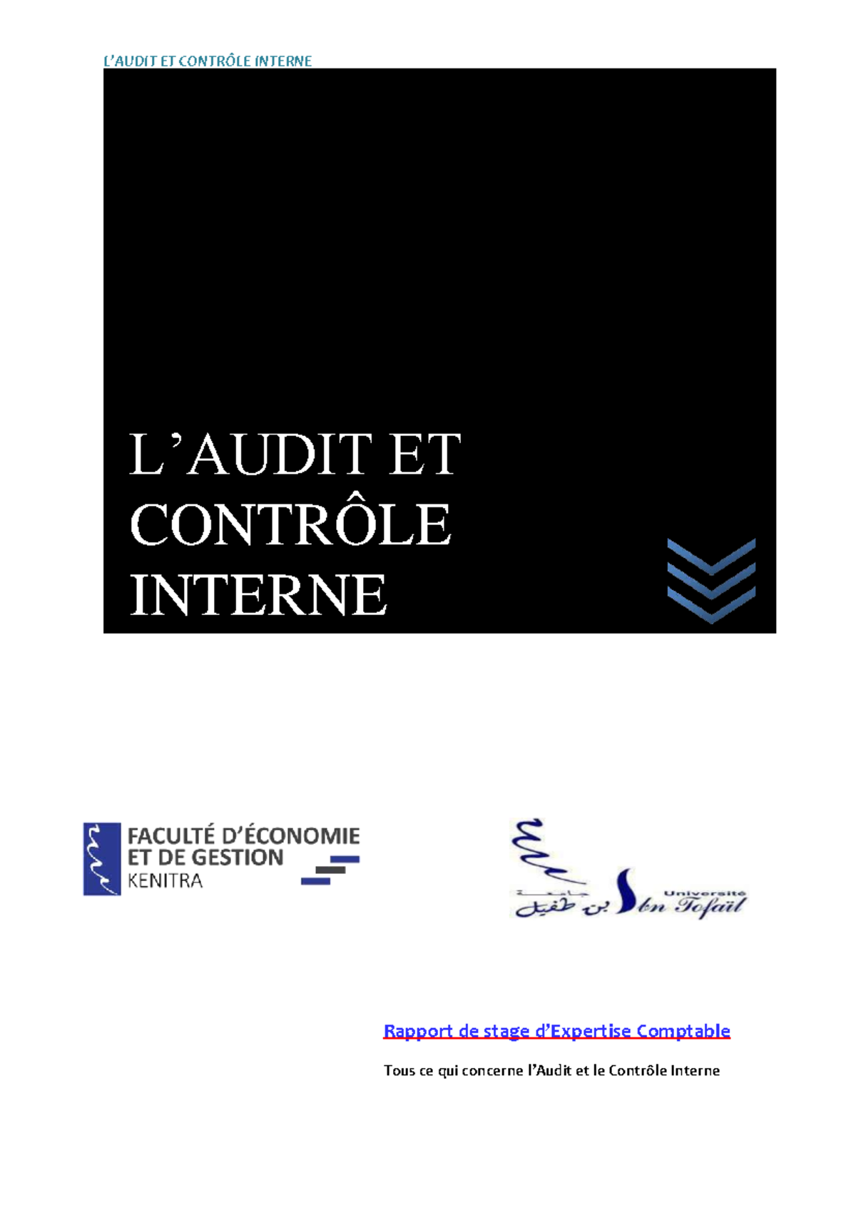 Rapport de Stage : Audit et Contrôle Interne en Expertise Comptable ...