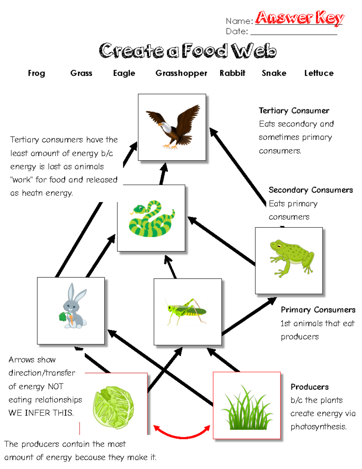 Food+Web+ Teacher+ Notes - Frog Grass Eagle Grasshopper Rabbit Snake ...
