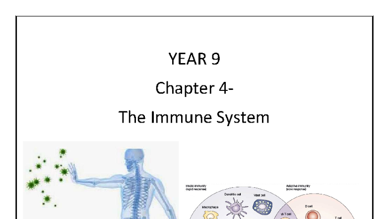 YEAR 9 Immune System Chapter 4 Textbook Questions & Activities - Studocu
