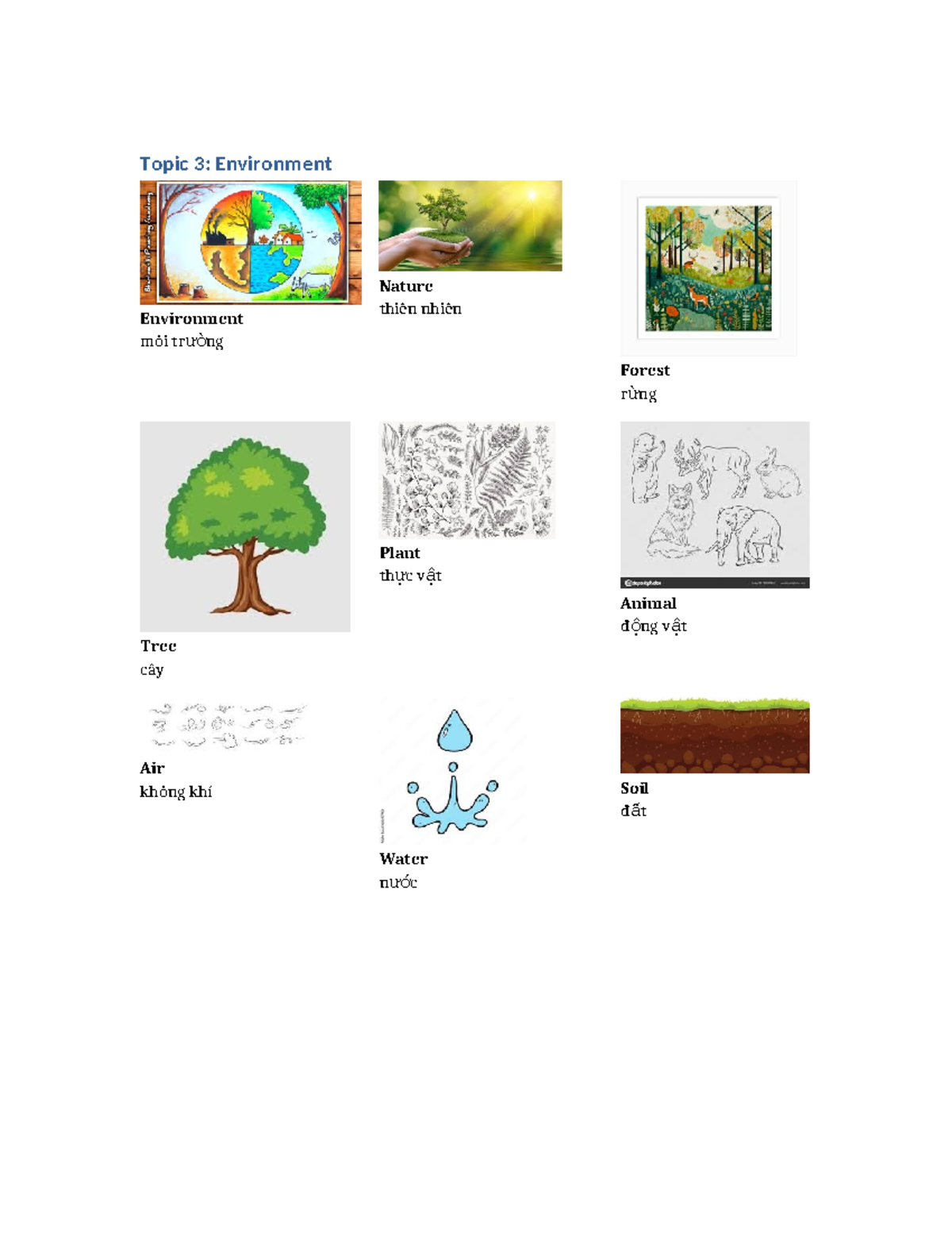 Topic 3: Environment - Vocabulary and Phrases for Nature - Studocu