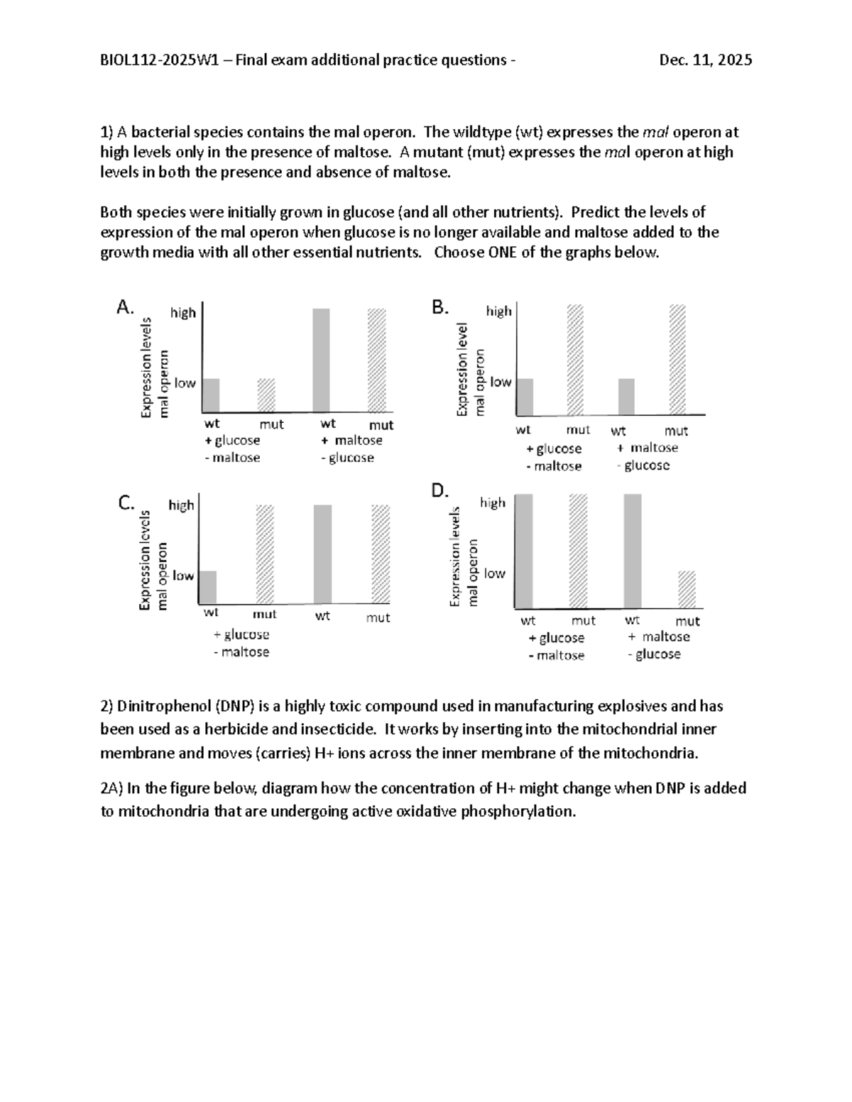Final Exam Practice Questions for 2025W1 - Couch - Studocu