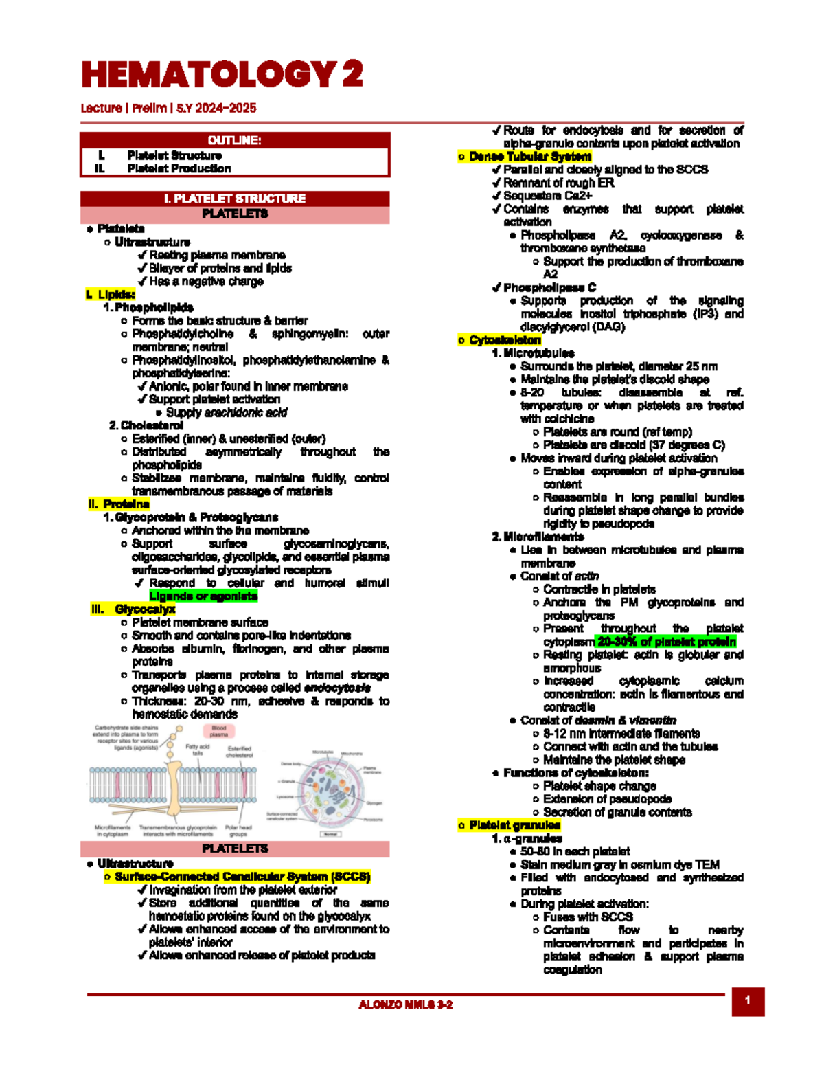 HEMA2 - smmsms - HEMATOLOGY 2 Lecture I Prelim I S Route for ...
