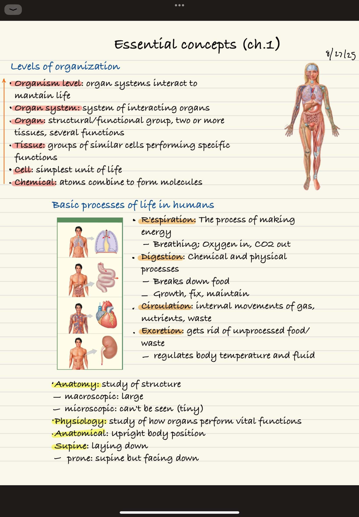Final Exam Study Guide for CS101: Levels of Organization in Life - Studocu