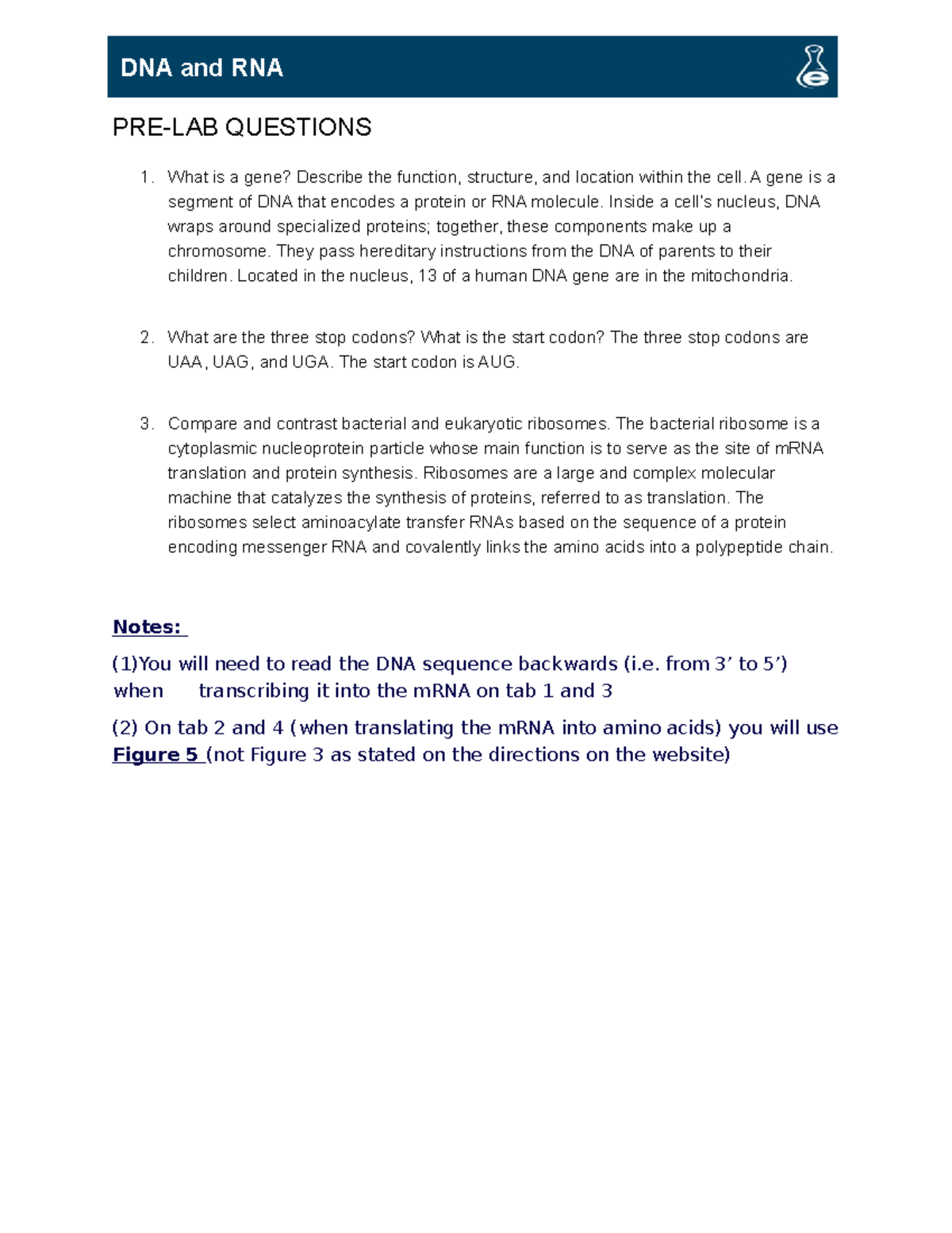 DNA and RNA Lab discussion worksheet - DNA and RNA QUESTIONS 1. What is ...